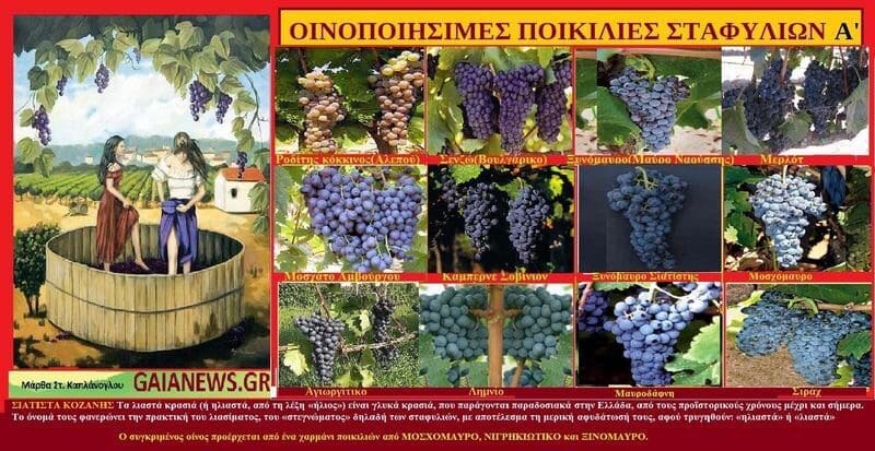 ΕΡΥΘΡΕΣ ΟΙΝΟΠΟΙΗΣΙΜΕΣ ΠΟΙΚΙΛΙΕΣ ΣΤΑΦΥΛΙΩΝ - Β) ΚΟΚΚΙΝΑ ΚΡΑΣΙΑ : ΟΦΕΛΗ ...
