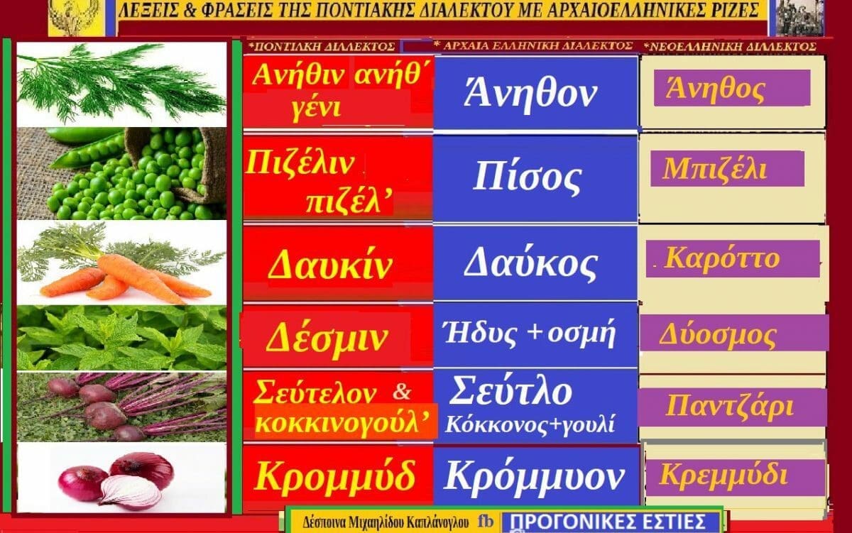 ΛΕΞΕΙΣ ΚΑΙ ΦΡΑΣΕΙΣ ΤΗΣ ΠΟΝΤΙΑΚΗΣ ΔΙΑΛΕΚΤΟΥ ΠΟΥ ΕΧΟΥΝ ΠΡΟΕΛΕΥΣΗ ΑΠΟ ΤΗΝ ...